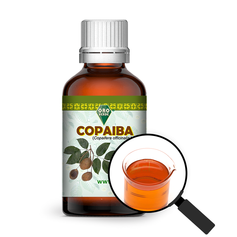 Copaiba (Copaifera officinalis) tincture 50 ml | Amazonia Health ...